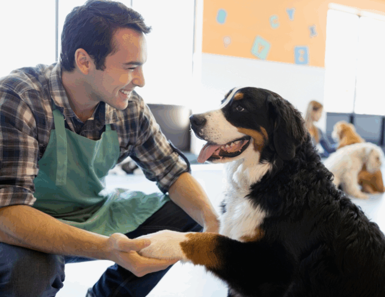 Staff Training Refresh with Kennel Software Tips | Kennel Connection